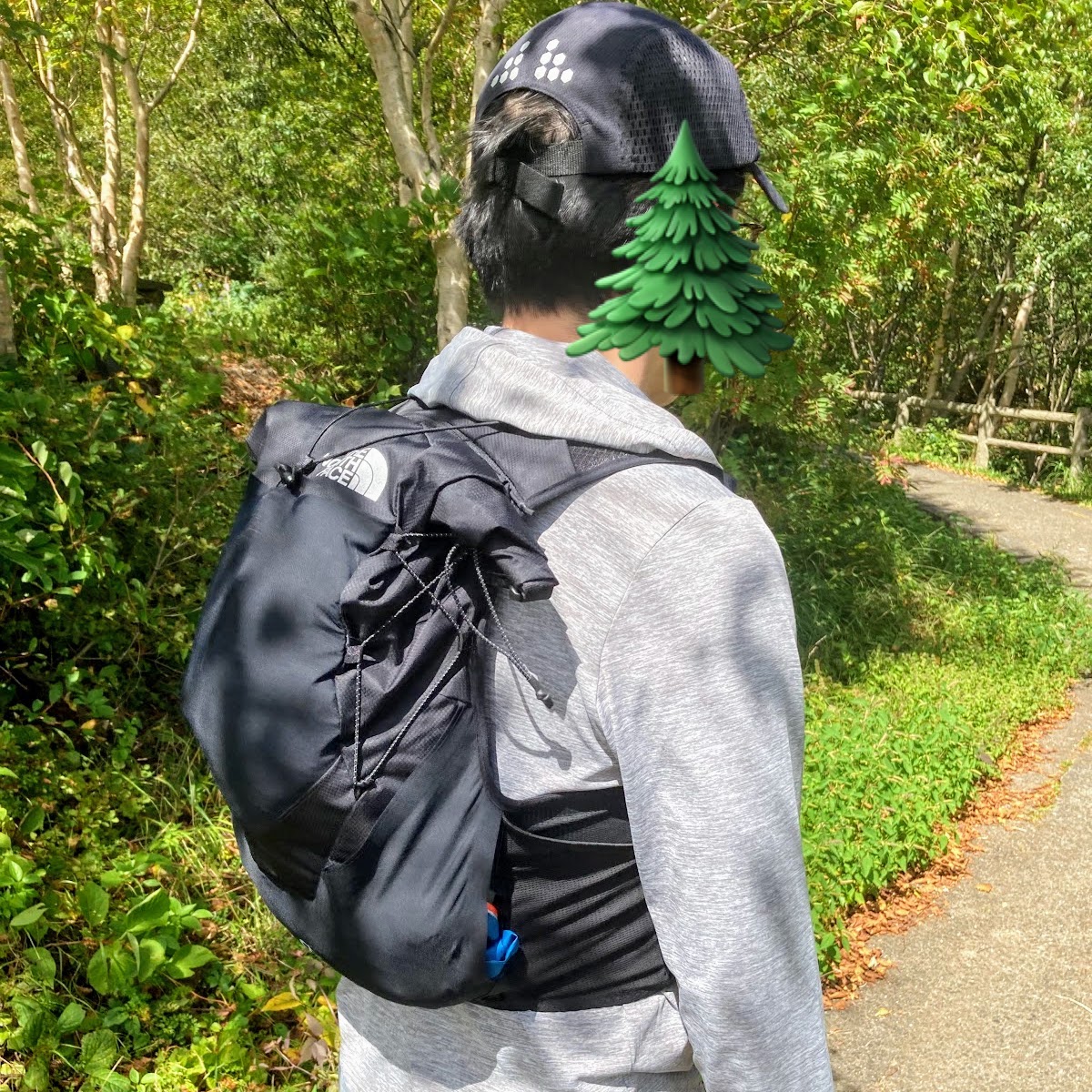 THE NOTRH FACE TR Rocket トレランザックレビュー | tree & hana's Blog